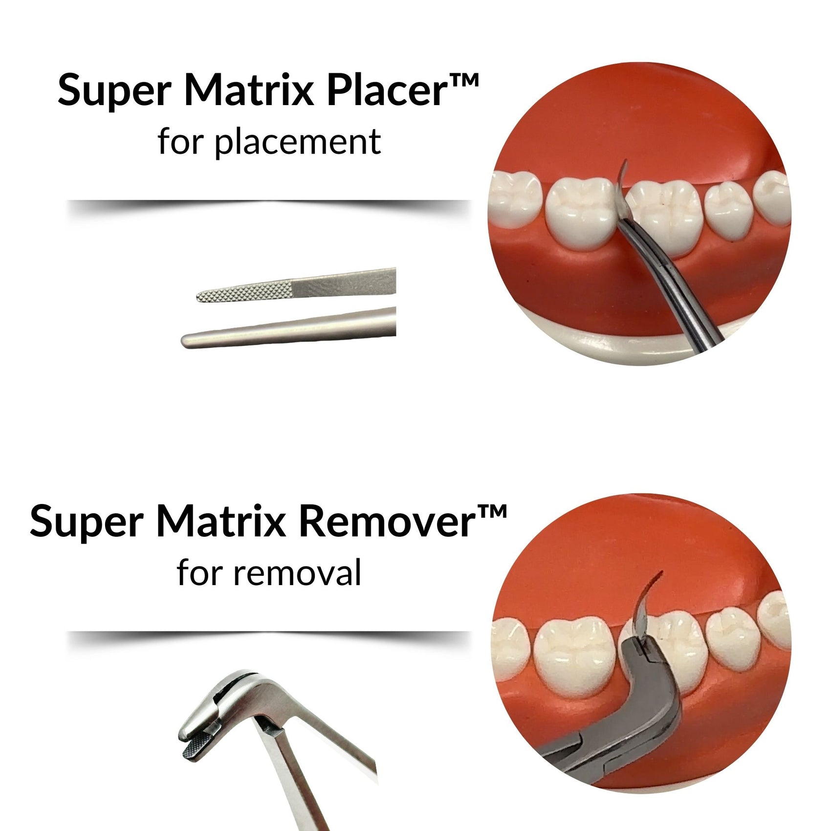 Super Matrix Placer™ | Gerald Forceps | ArtCraft Dental