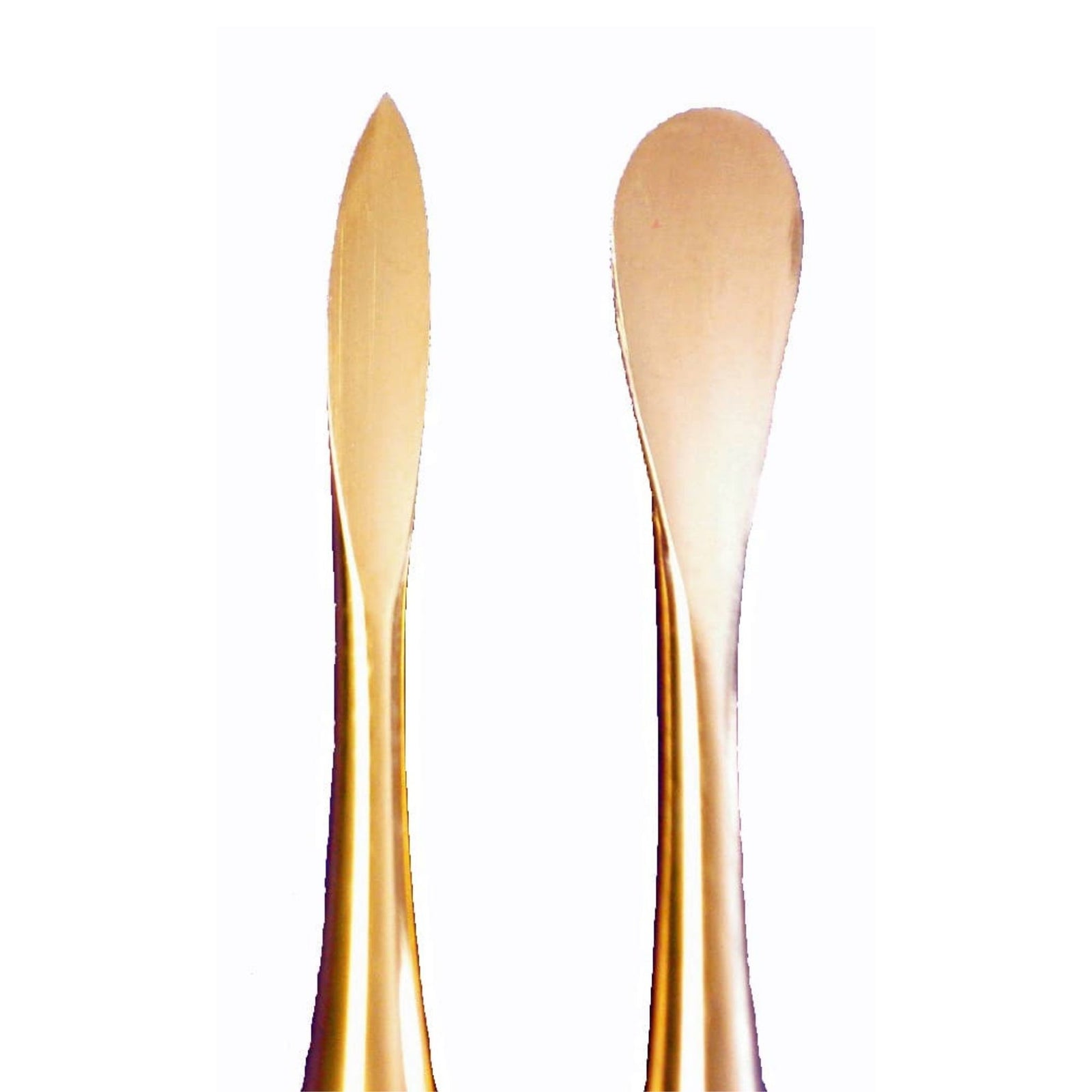 Molt-Titanium™ periosteal | ArtCraft Dental, Inc. | Premium Dental ...