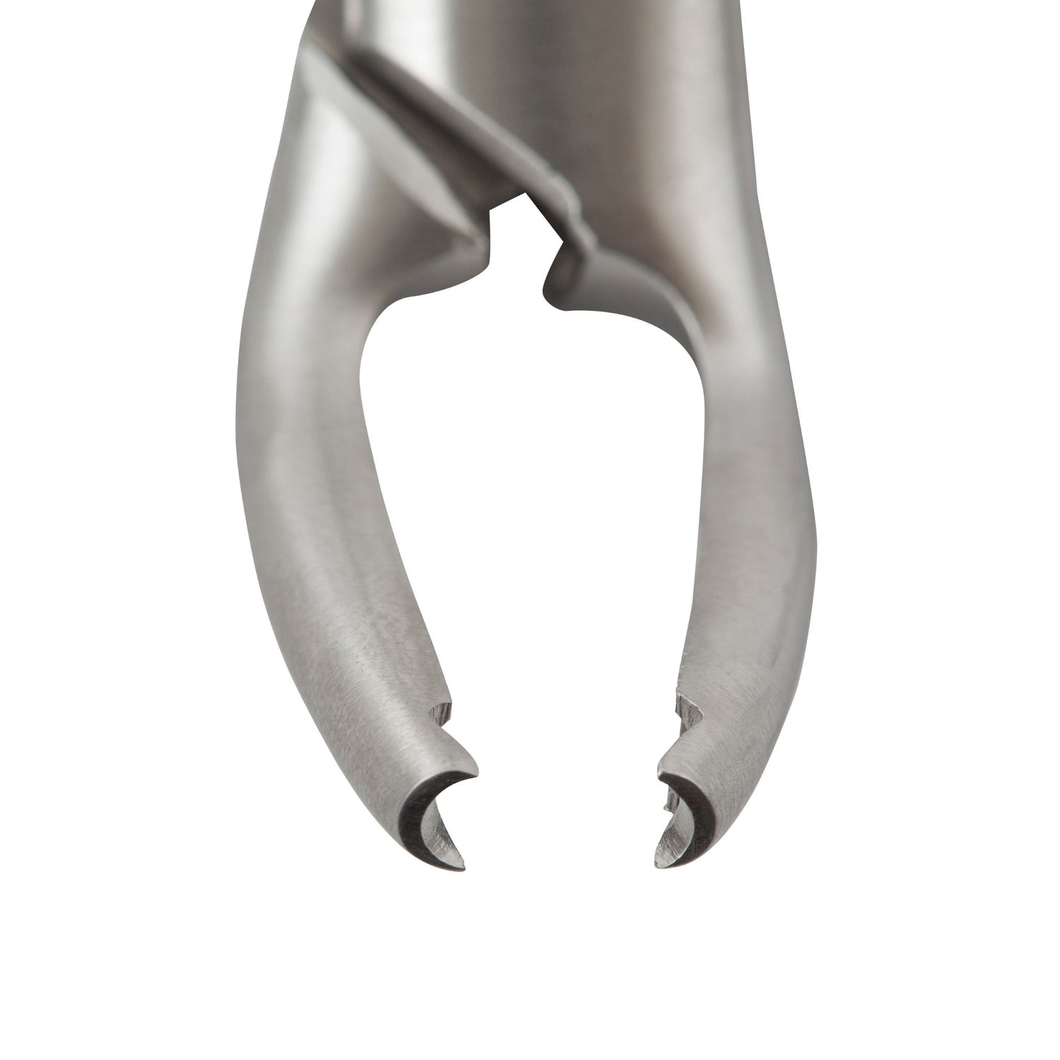 A New Temporary Crown Removal Method You Need to Try: How to Remove a