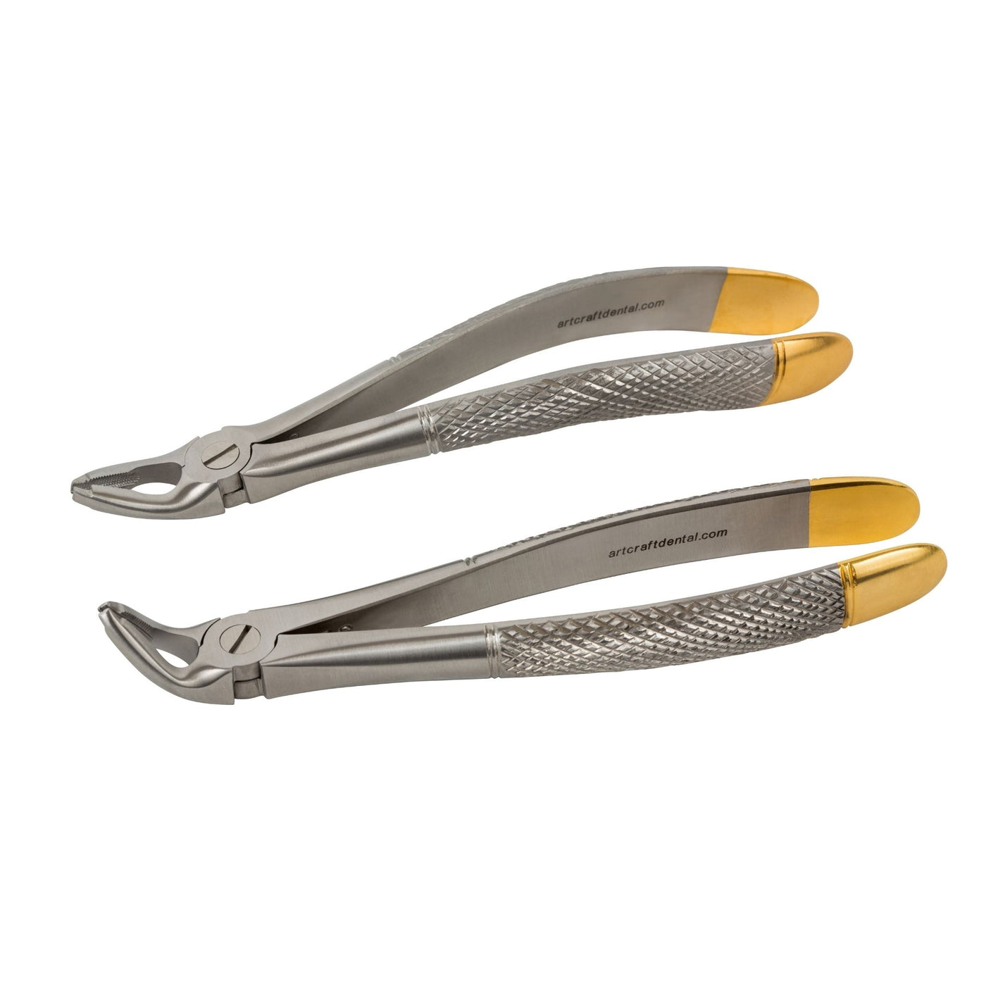 TraXion™ Forceps | Dental Extraction Forceps | Dental Extraction Tool