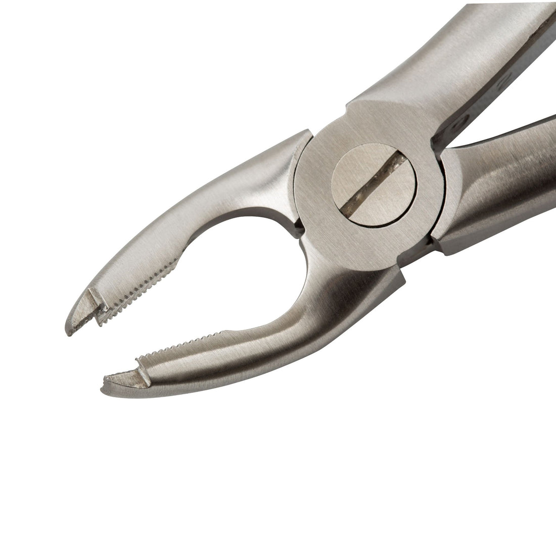 Serrated Forceps vs Non-Serrated Forceps: Different Types of Dental Ex